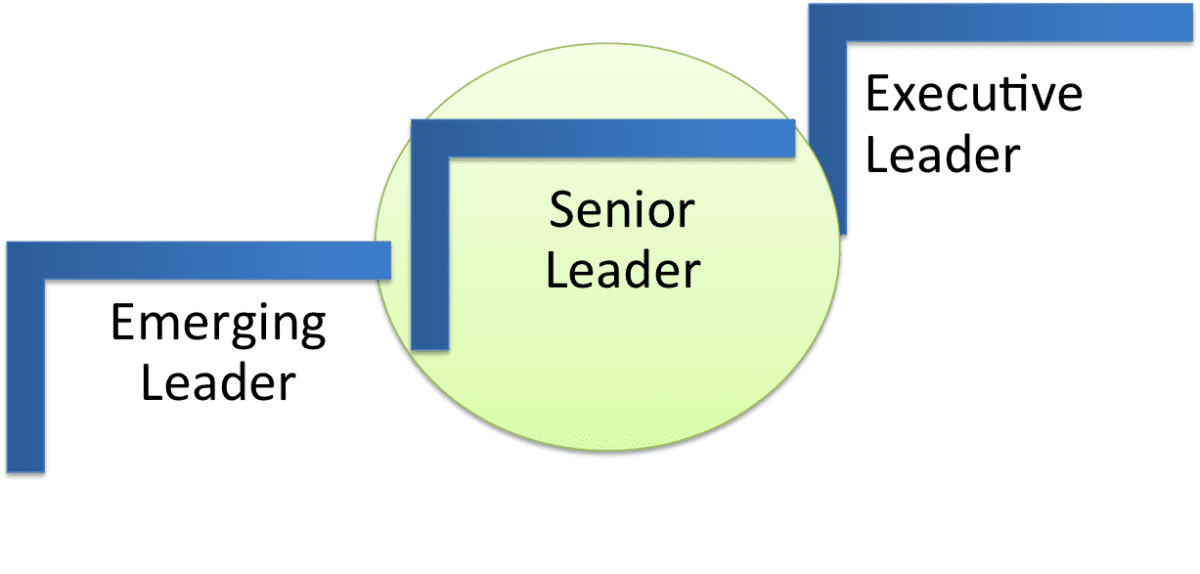 Efficiently Transitioning to a Senior Leadership Position