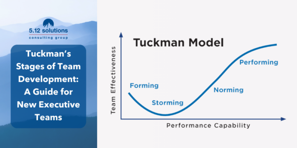 Tuckman's Stages of Team Development For New Executive Teams